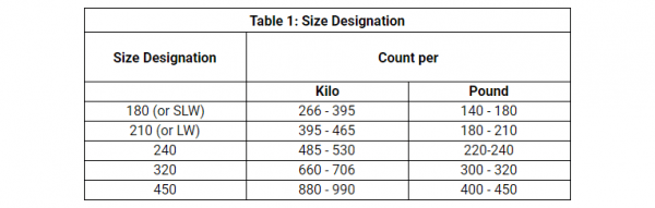 How have cashew kernels been classified according to the AFI standard ...