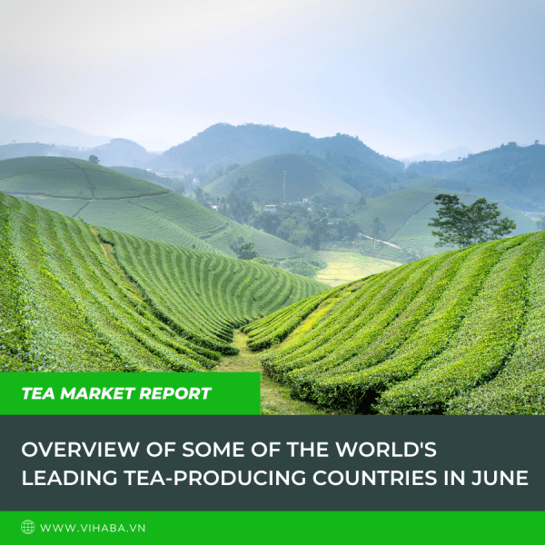 Overview of the leading tea producing countries in the world in June ...