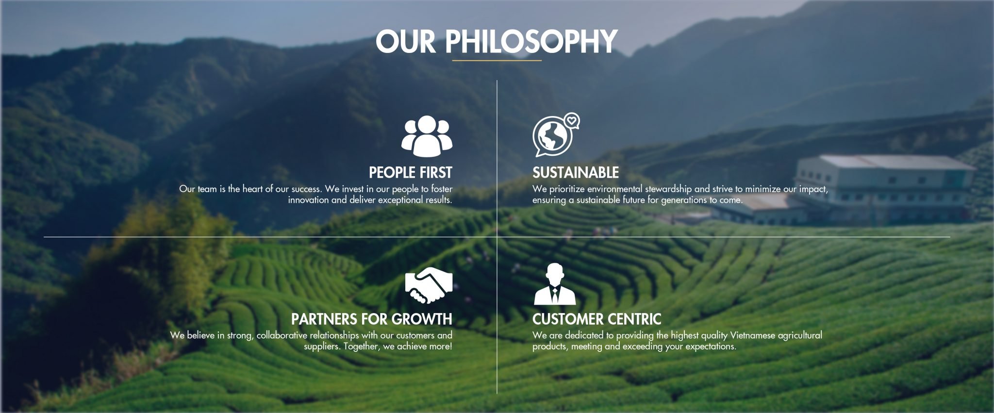 Overview - VHB Group