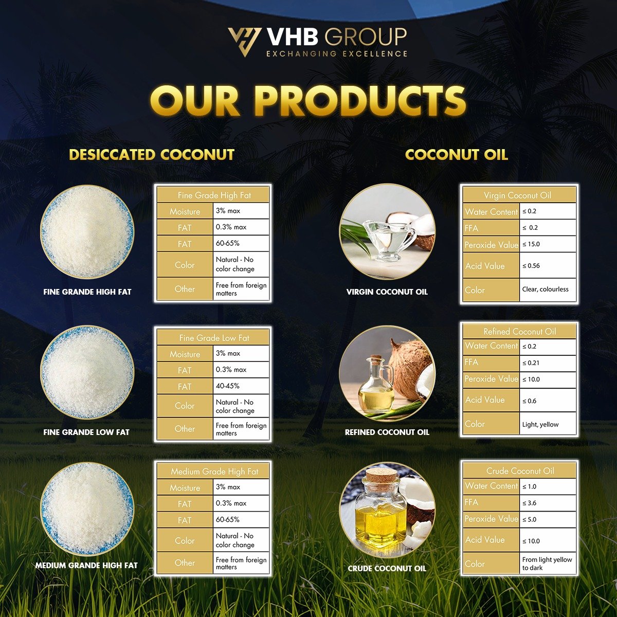 Desiccated Coconut: 3 Amazing B2B Guides for Your Health